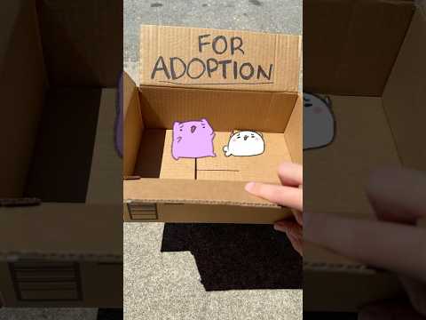 Our final moment together 😔 #animation #cat #cute