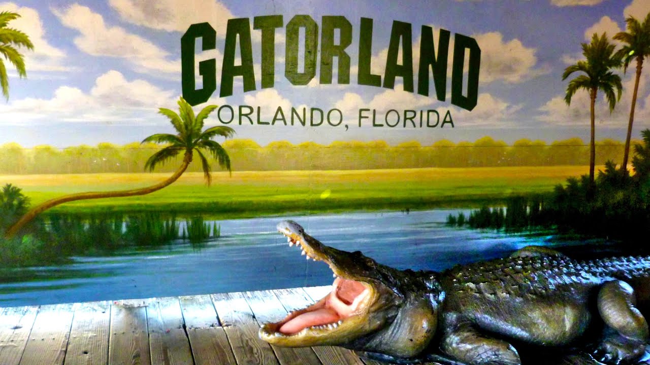 Gatorland Orlando, Florida - Alligator Capital of the World - YouTube