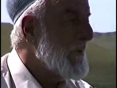 Zeleka 1992 Yayla