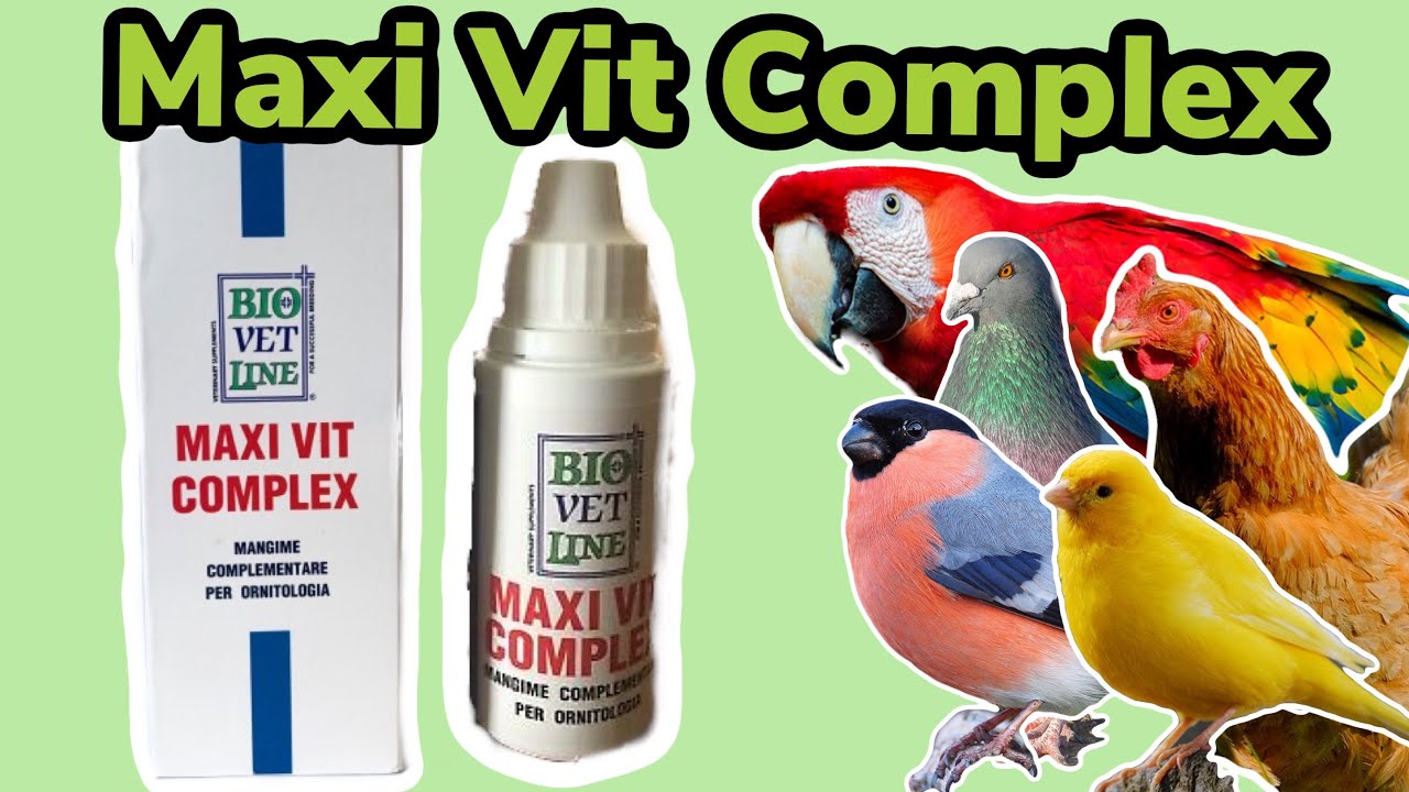 #Ad - BioVetLine Maxi Vit Complex | Multi Vitamin Supplement for Birds ...
