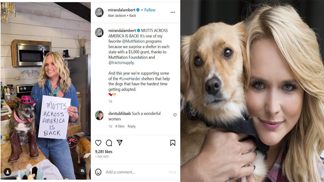PHILANTHROPE!! MIRANDA LAMBERT'S MuttNation Foundation Awards $250K to ...