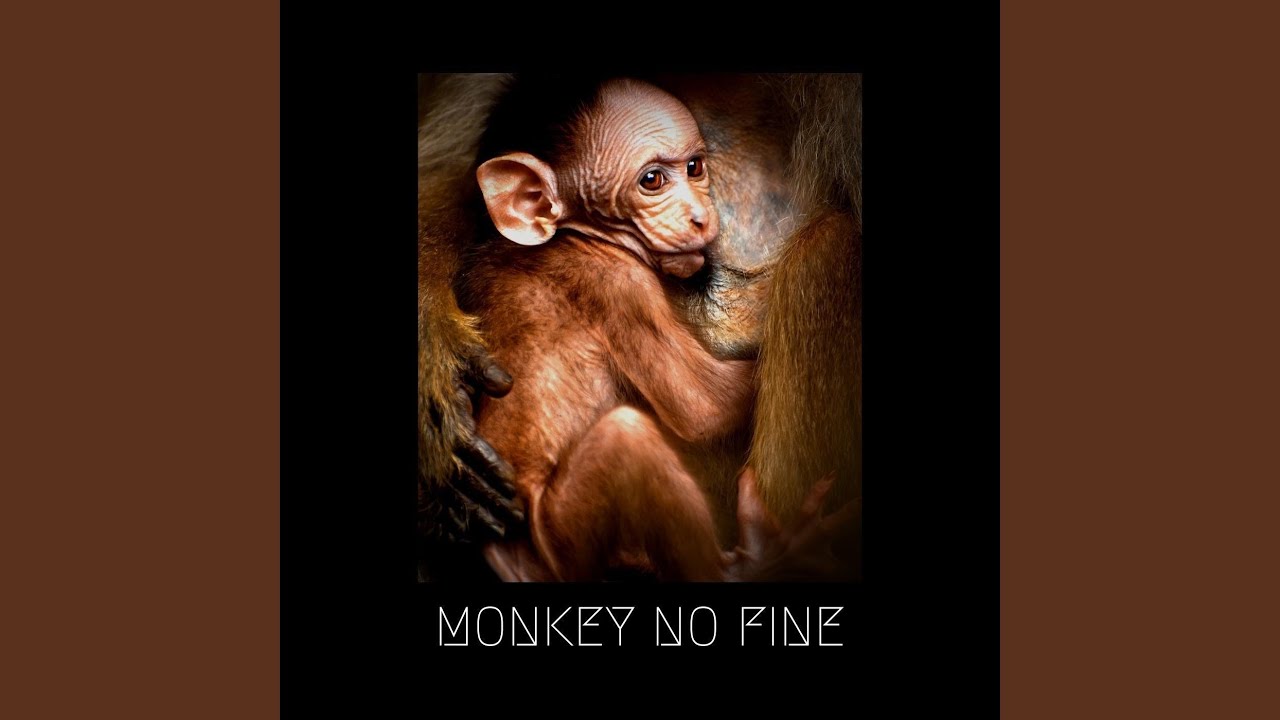 Monkey No Fine - YouTube