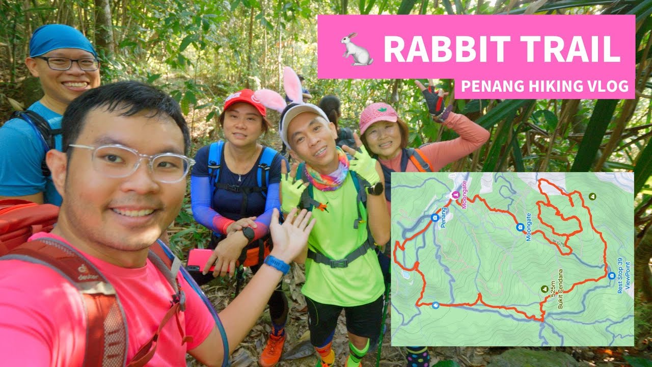 Rabbit Trail 🐇 Penang Hiking vlog - YouTube