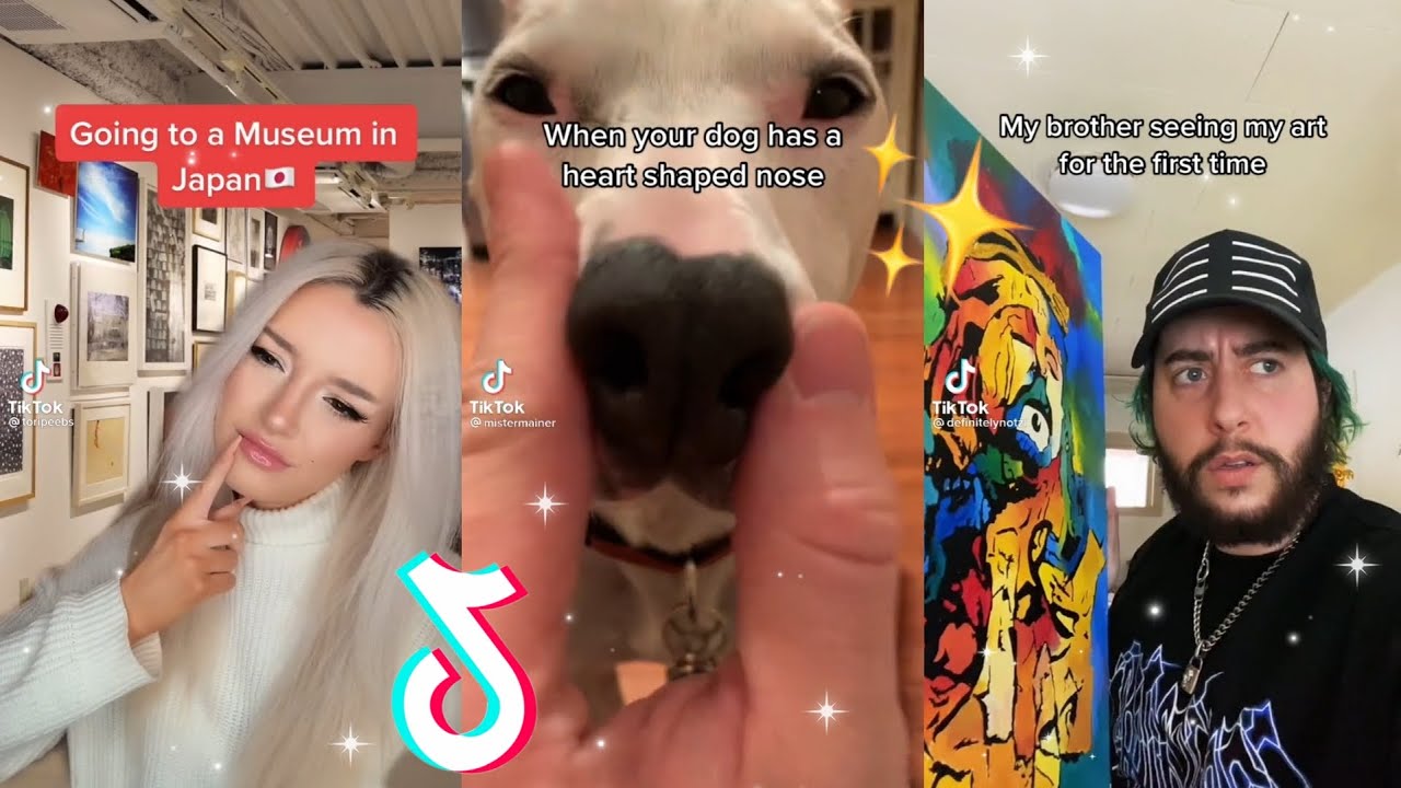 "What's This? Ok I like It Picasso!"👍👩‍🎨🎨 | NEW TikTok Compilation ...
