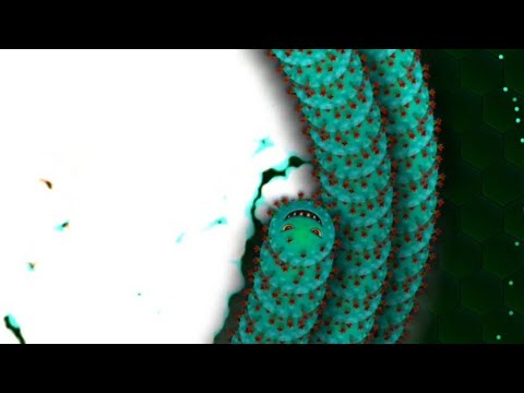 Wormaxio - Big Farm 240K