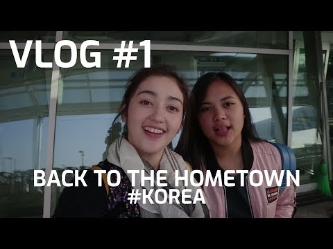 TAHUN BARU DI KOREA🇰🇷