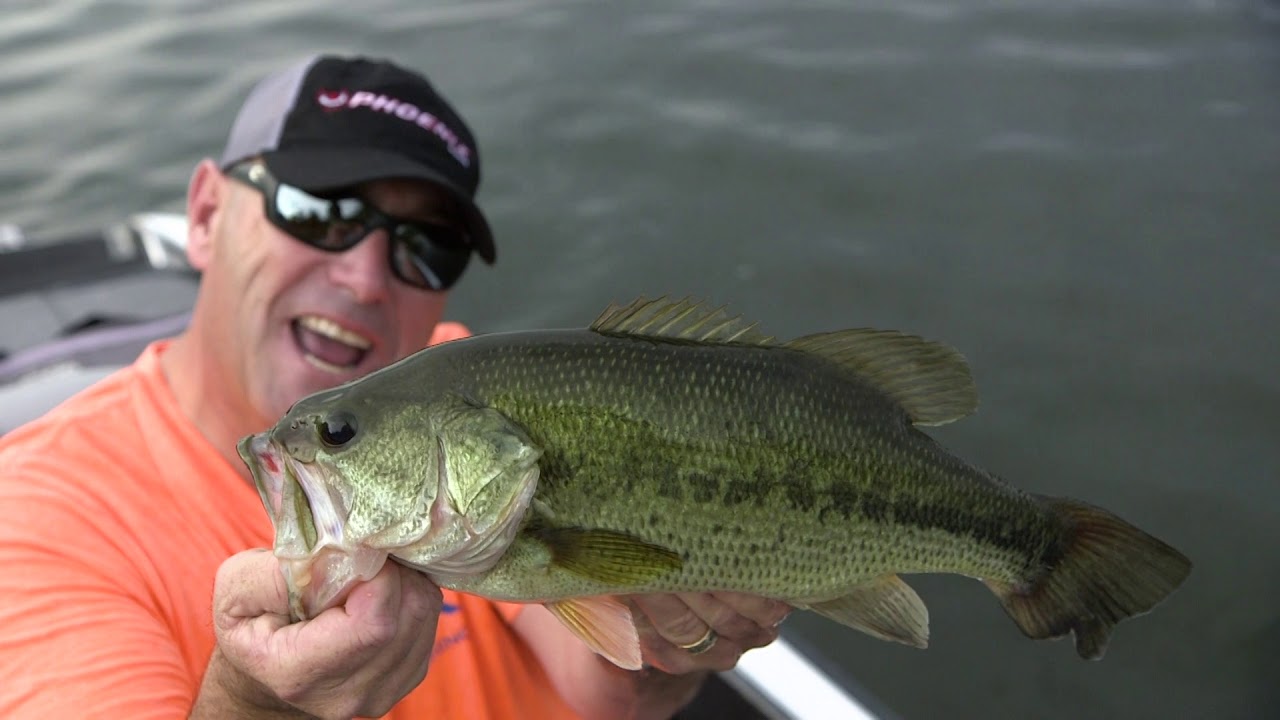 FALL HAS ARRIVED - Dave Mercer's Facts of Fishing THE SHOW Season 11 ...