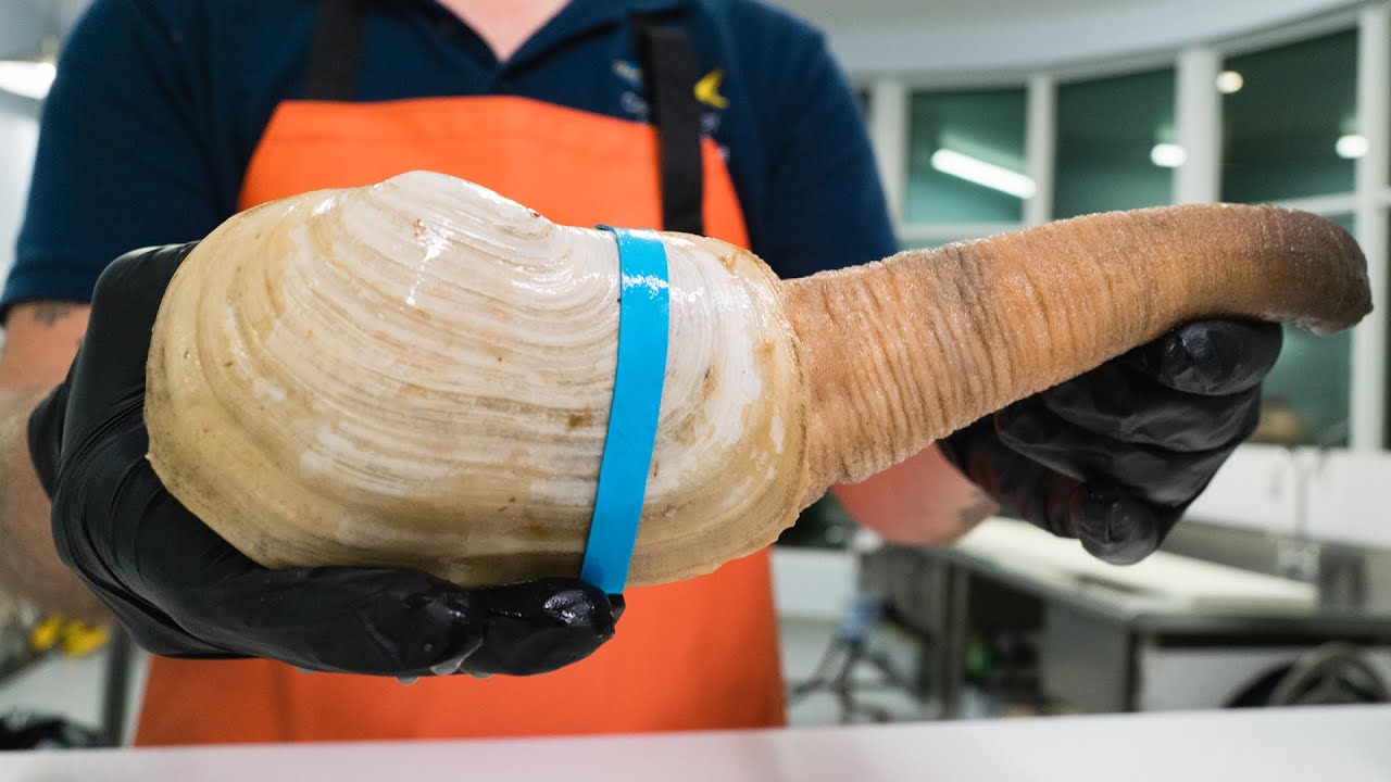 What Does This GIANT Clam Taste Like? - YouTube