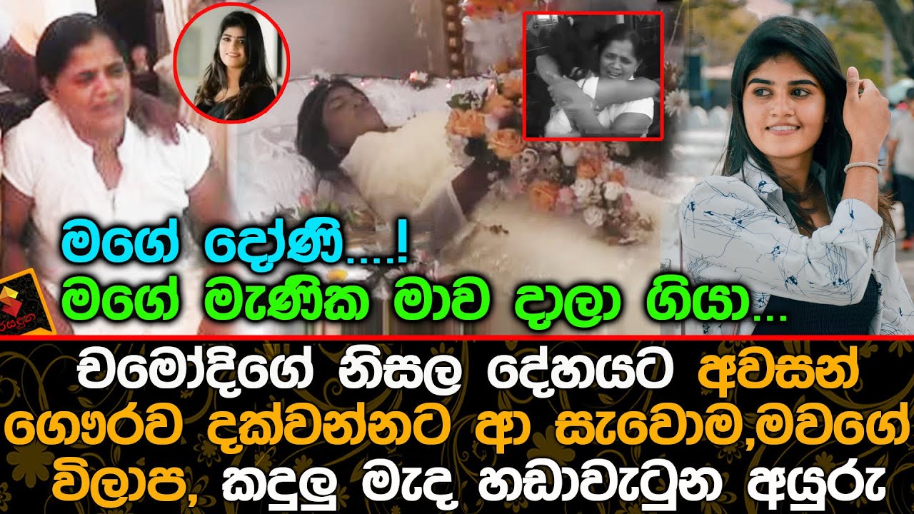 චමෝදිගේ නි|ස|ල දේ|හ|යට අ|වසන් ගෞරව දක්වන්නට ආ සැ|වො|ම හ|ඩා|වැටුන අයුරු ...