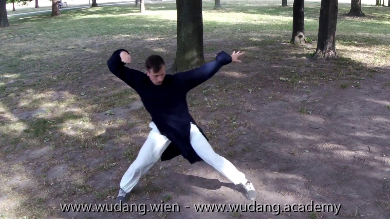 Fu Hu Quan - Wudang Academy Vienna - Master Ziji - YouTube