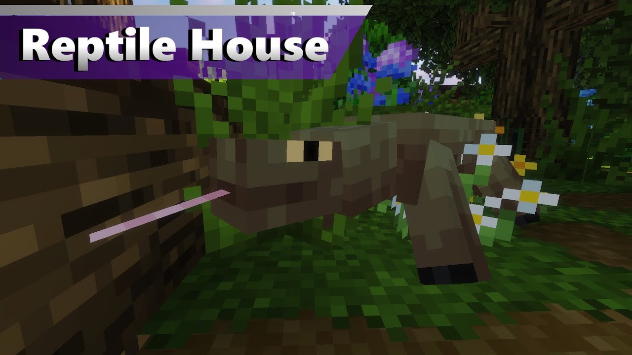 Reptile House | Alex's Mobs Zoo (Minecraft 1.16.5 Zoo) - YouTube