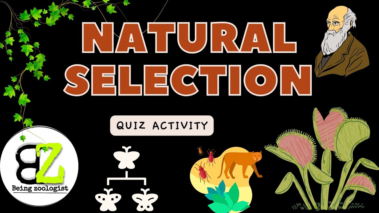 Natural selection - YouTube