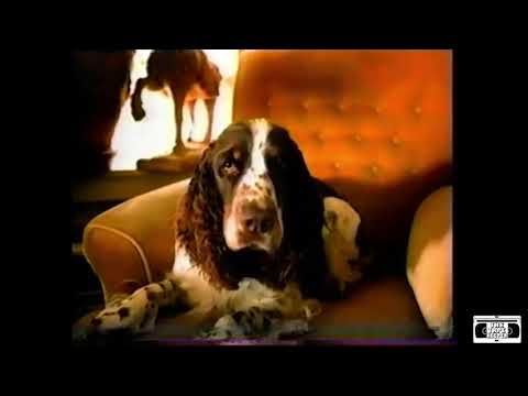 Pedigree Dog Food Commercial - 2001 - YouTube