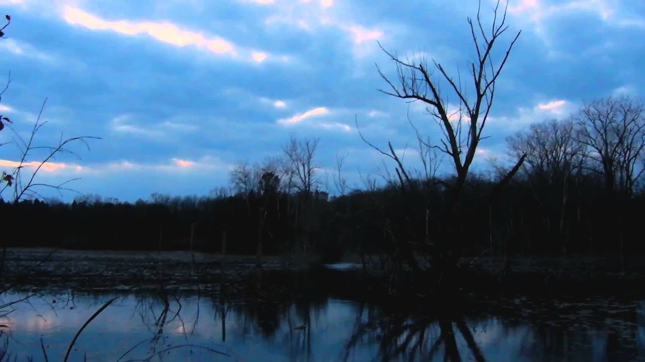 Hiking at Fort Custer State Park, MI.[10-25-12].[part 2 of 2]. - YouTube