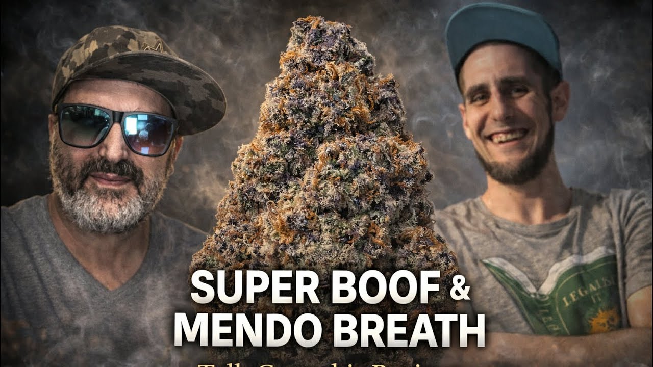 Most Hated Grower? Super Boof & Mendo Breath Review | 518 Craft Grower ...