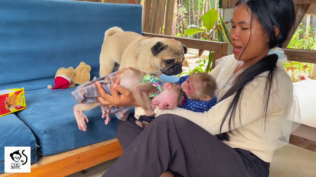 Nuna Push Ken Hardly Jealous Him Stay Close To Mom - YouTube