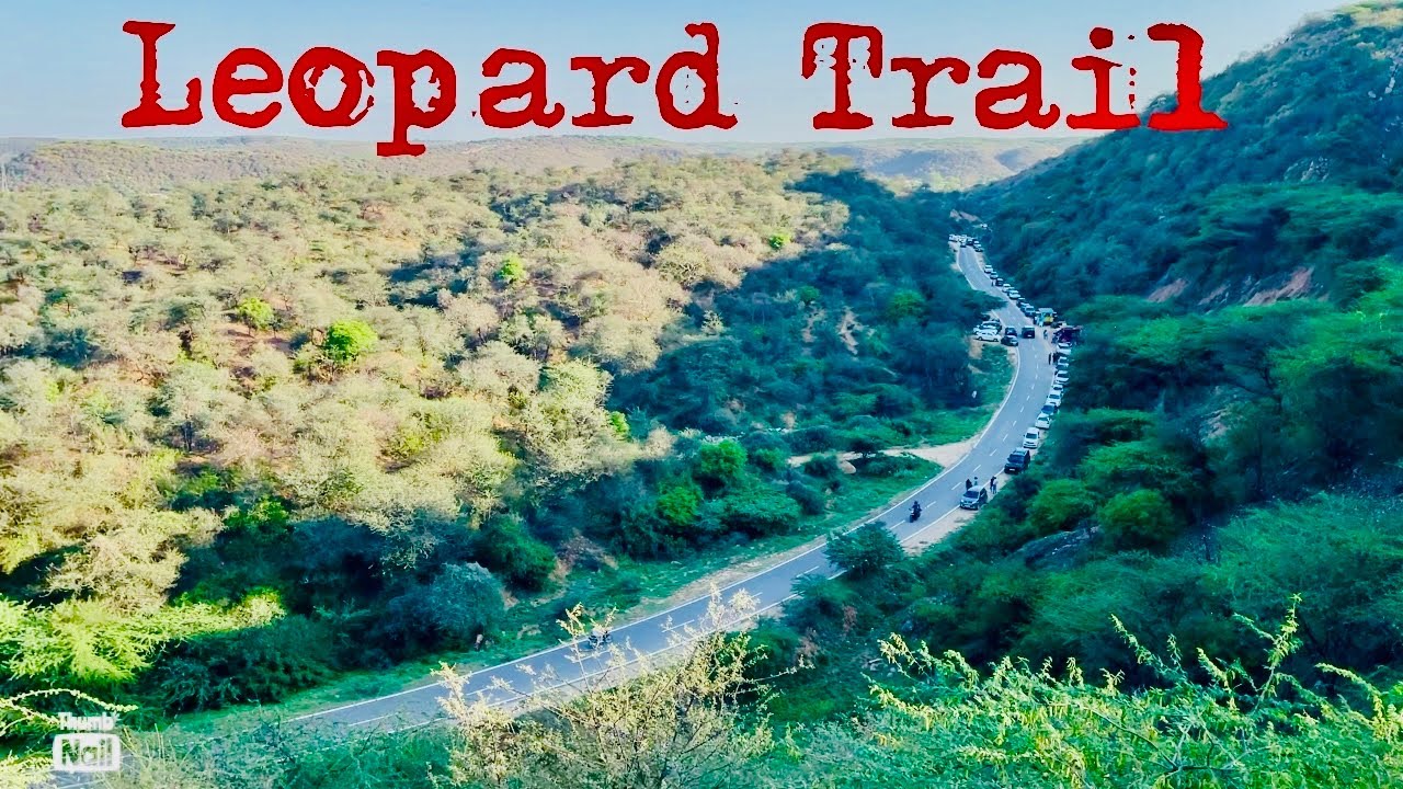 Leopard Trail and Aravali hills Detailed Review | Leopard Hills ...