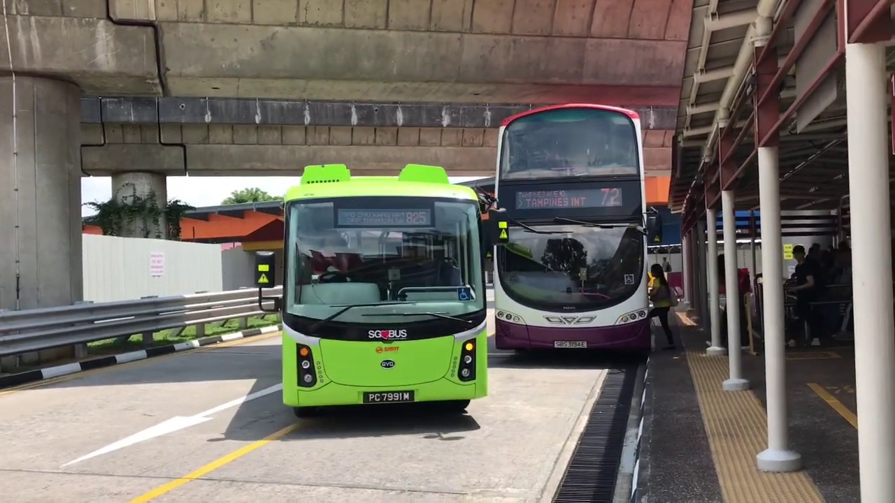 First Day/New SMRT Minibus Debut - PC7991M on 825 (Joyride) - YouTube