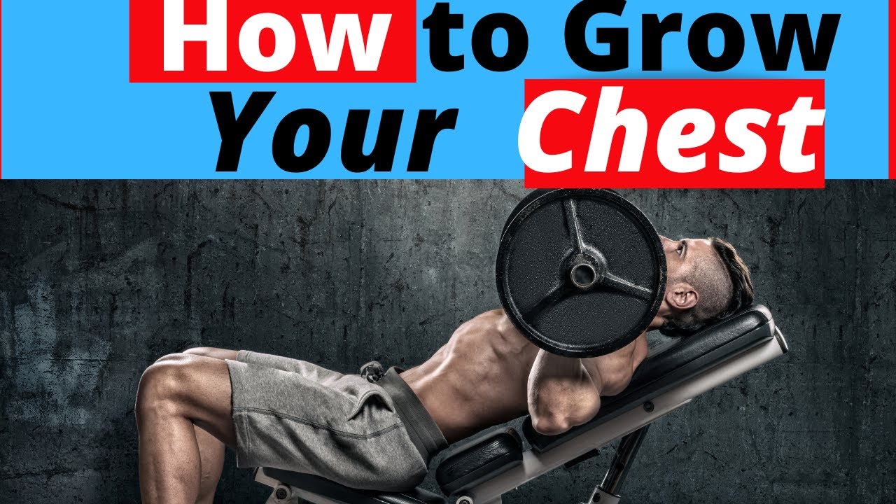 How to grow your chest | Best exercises - YouTube