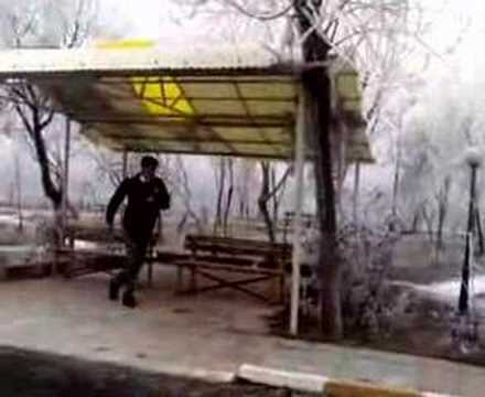 effl ağaçtan kar düşürme