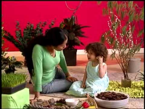 Sesame Beginnings 1 (ingles) - YouTube