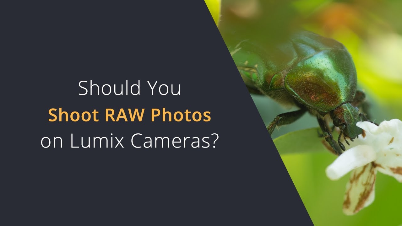 Should I Shoot RAW Photos? | Why You Should Be Shooting RAW Photos on Your Panasonic Lumix ...