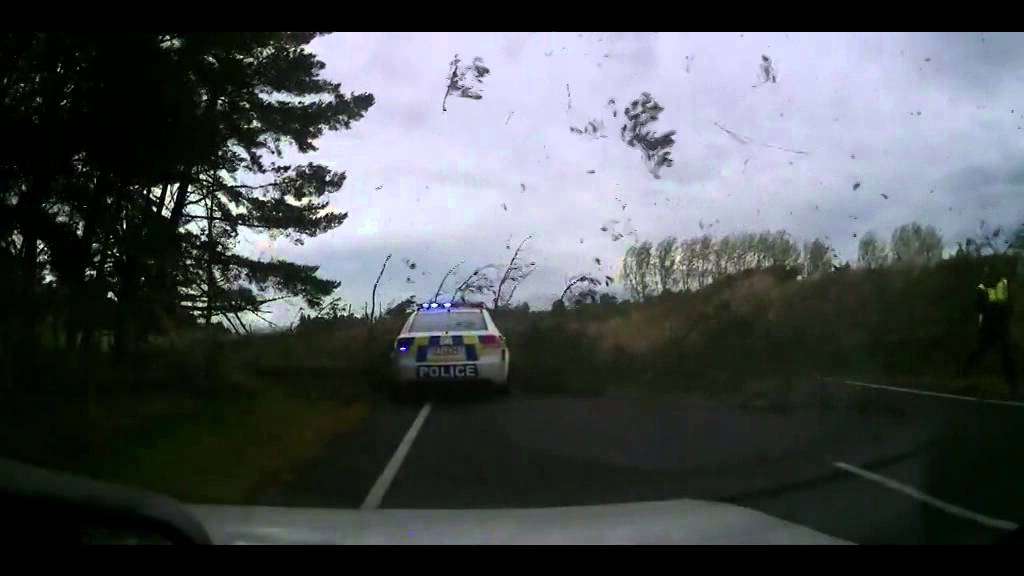 Falling tree just misses people and a police car - YouTube