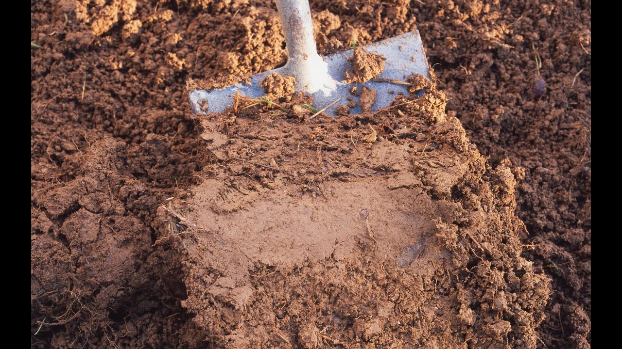 How to Extract Clay from Soil - YouTube