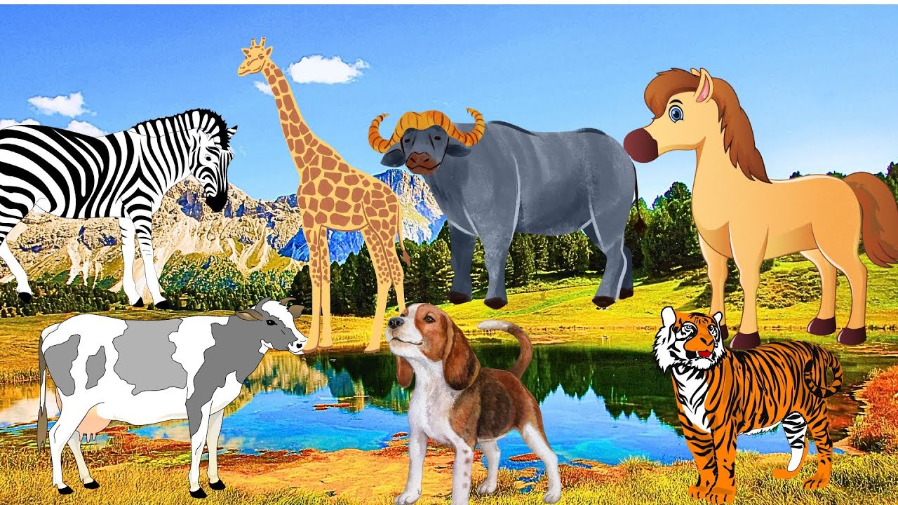 Cleaning animals ducks geese lions elephants orangutans beetles crabs ...