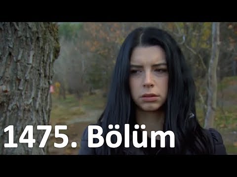 Beni Affet 26 Aralık Çarşamba - 1475. Bölüm
