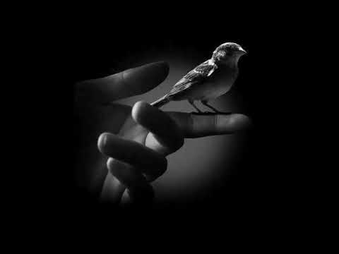 Yağmur'la Git  ••❥ ❥Melek❥ ❥••