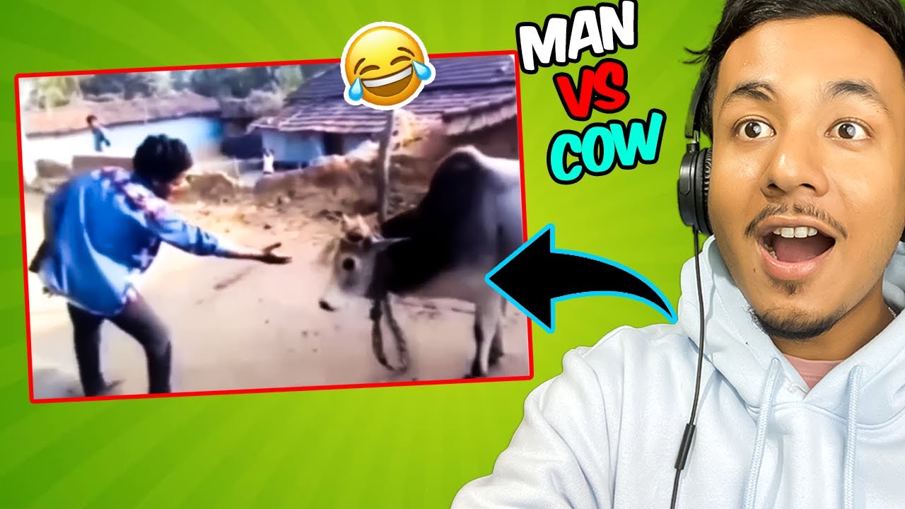 FUNNIEST INDIAN MEMES | MAN PLAYS WITH COW LOL - YouTube