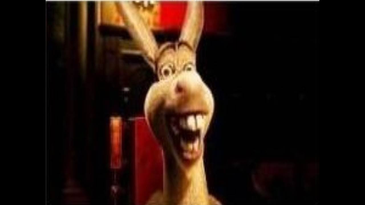 donkey fart | dynamic slatt$$$ pt. 2 - YouTube