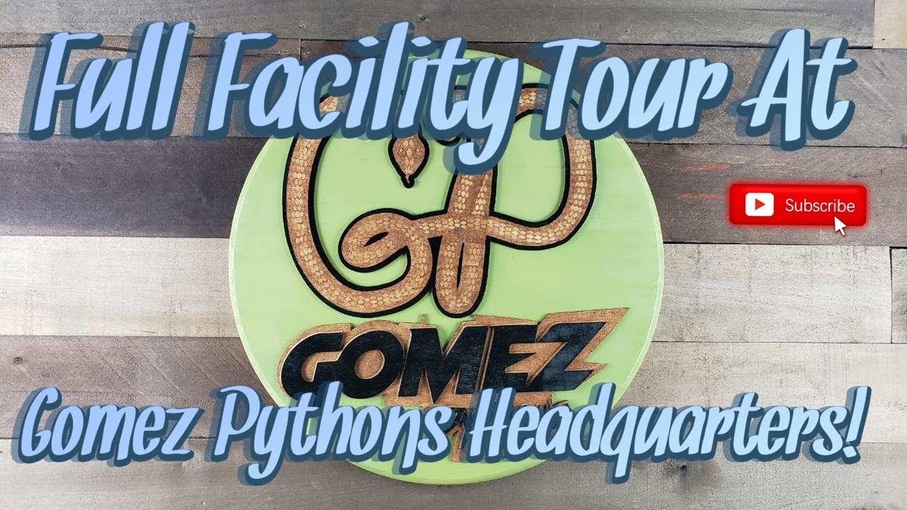 Complete Facility Tour With Sal From Gomez Pythons - Lets Check Out ...