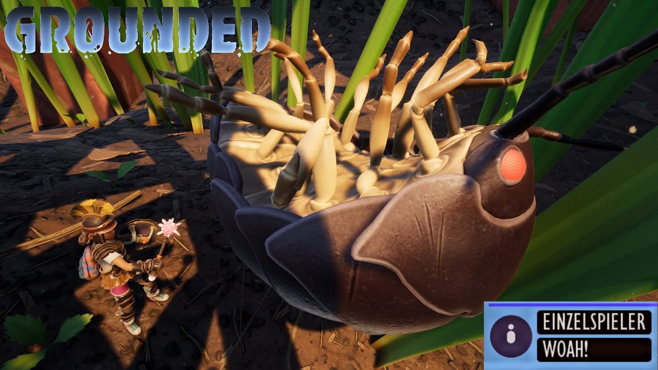 Grounded Kellerassel / Roly poly leicht gemacht - YouTube