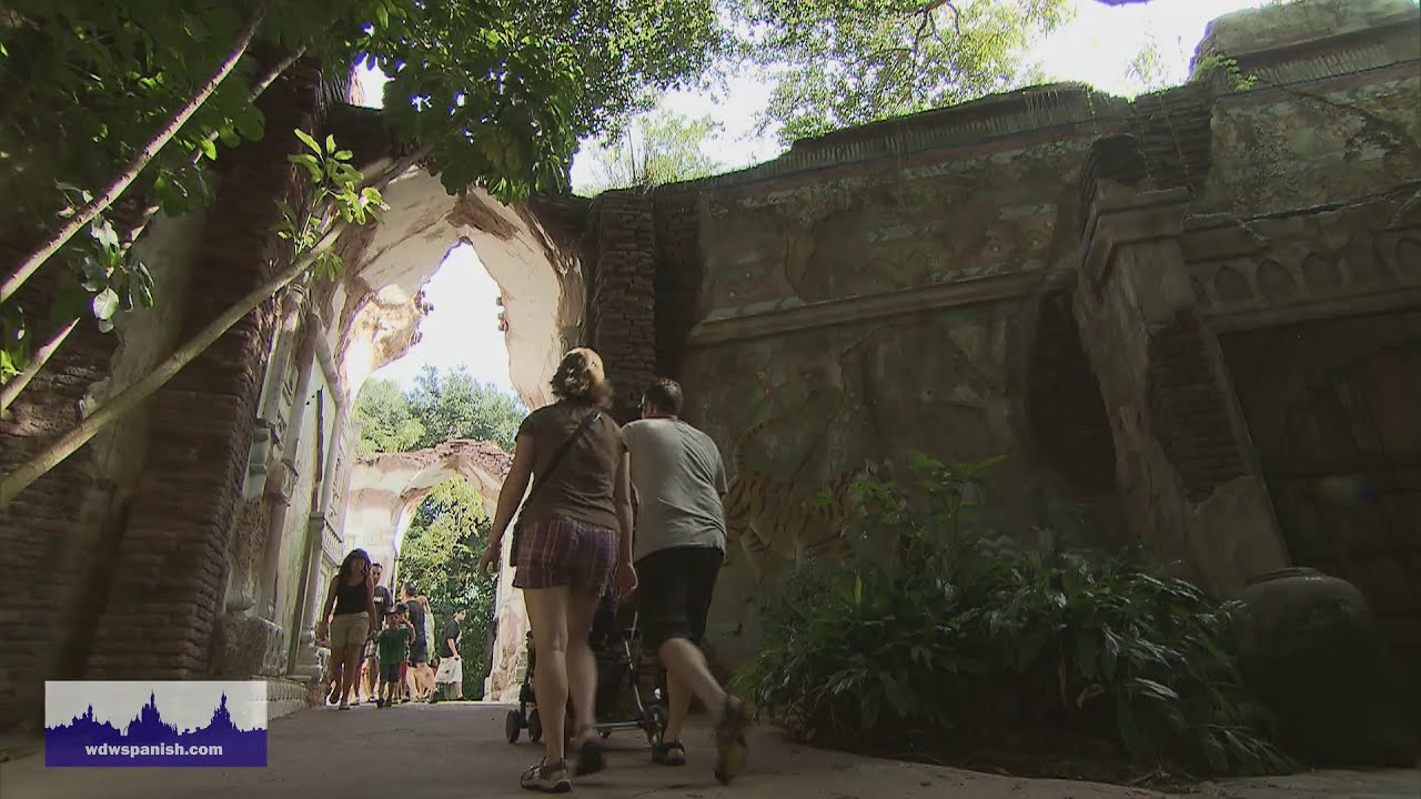 Maharajah Jungle Trek - Animal Kingdom - Walt Disney world - YouTube
