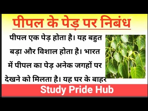 पीपल के पेड़ पर हिन्दी निबंध | Essay on Peepal Tree in Hindi | Peepal ...