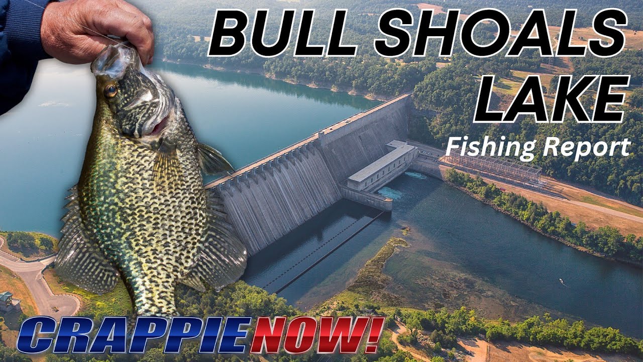 Bull Shoals Lake — a Crappie Fishing Destination Worth the Chance ...