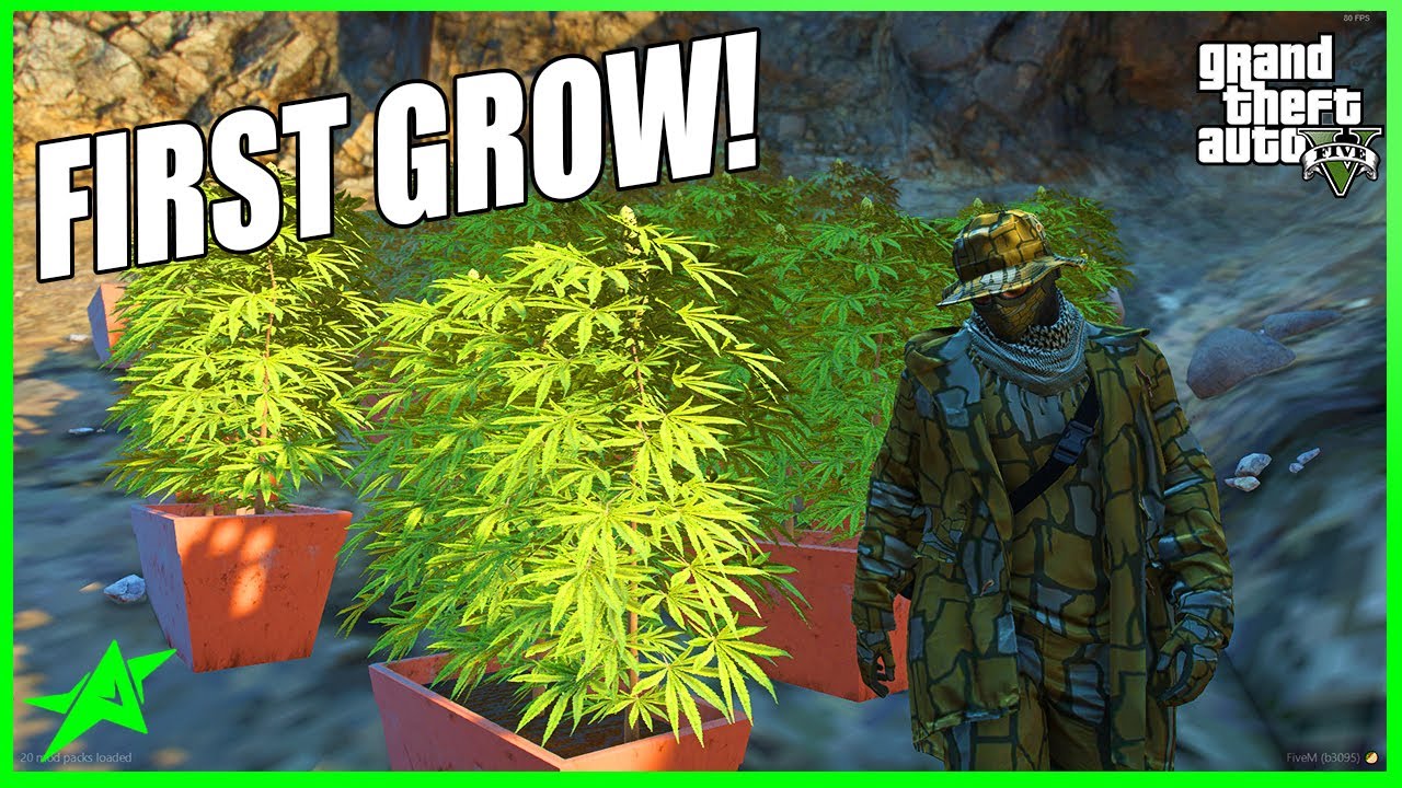 OUR FIRST GROW OF PRODIGY 2.5! | GTA 5 Roleplay (ProdigyRP 2.5 ...