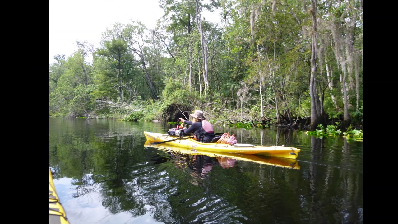 LOWER OCKLAWAHA RIVER: RODMAN DAM TO JOHNSON FIELD. JULY 11,2020 - YouTube