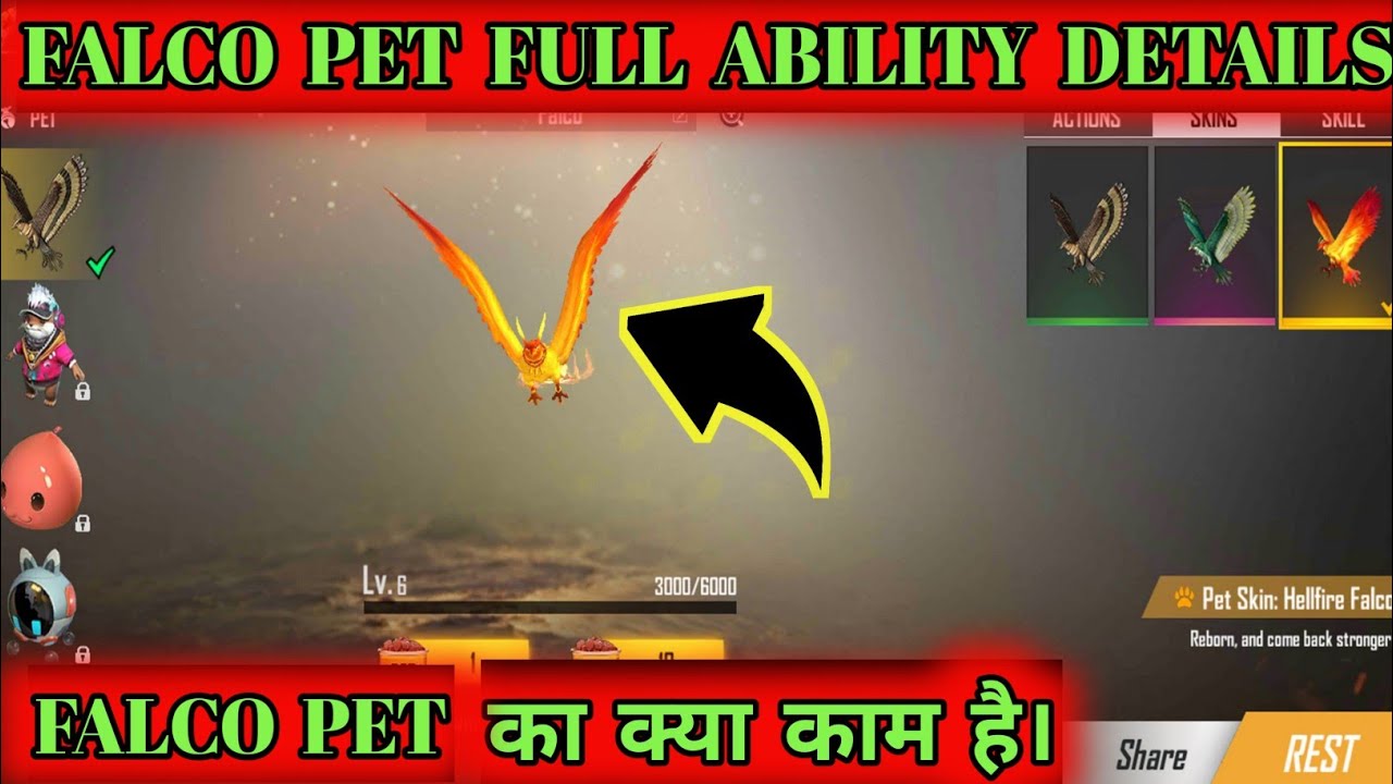 New Pet Falco Ability Test Max Lavel,Falco Pet Ability Full Details ...