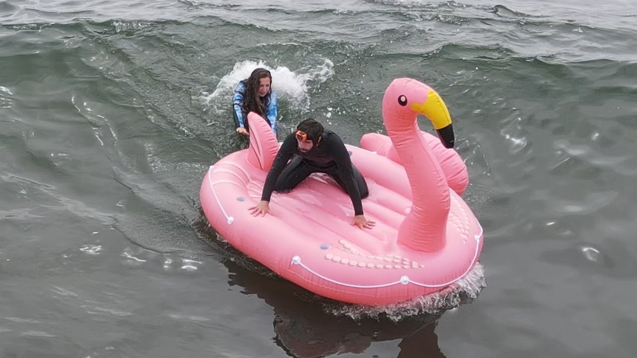 GIANT FLAMINGO Surfing (EPIC Wipeouts) - YouTube