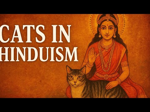 Cats in Hinduism: The Forgotten Guardians of the Divine Feminine