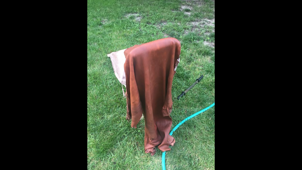 Bark / Vegetable Tanning Leather - YouTube