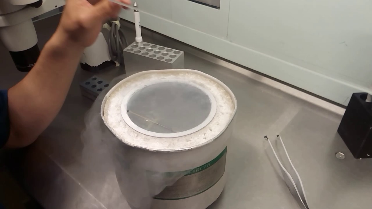 Cryotop vs cryotech and cryolock - YouTube