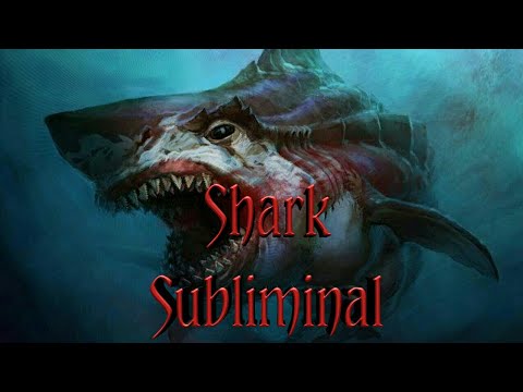 Shark Transformation Subliminal - YouTube