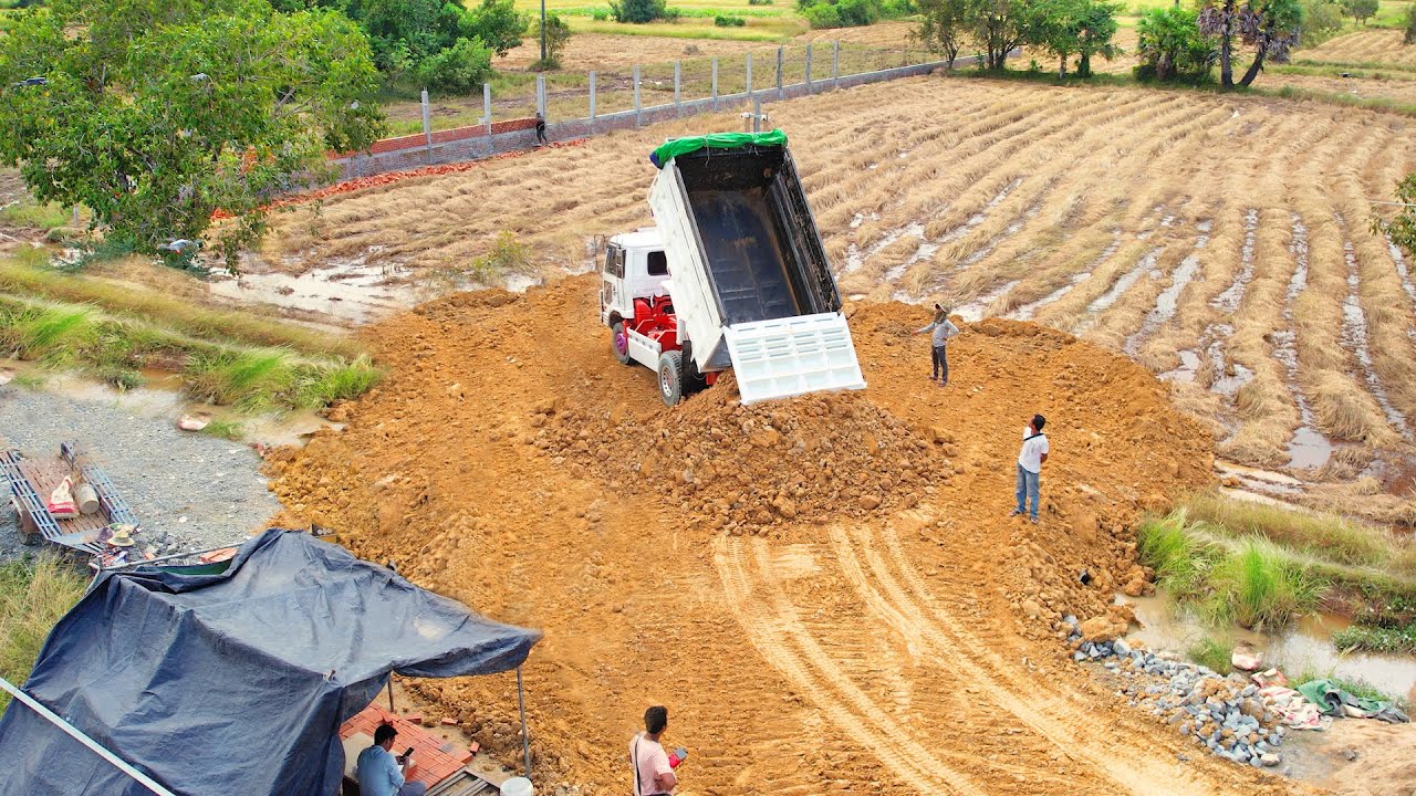 Perfect First Start New Project Land Fill Up Dozer Push Soils Into Rice ...
