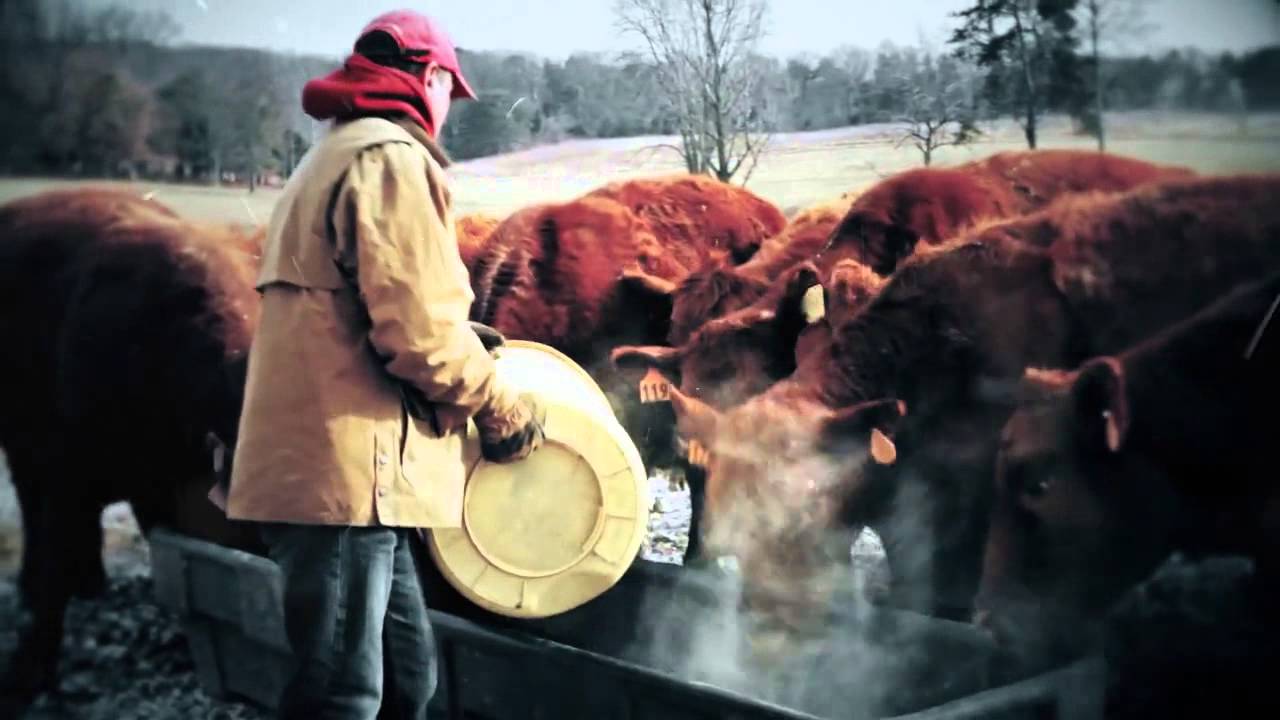 Ritchie Commercial 2015 - YouTube