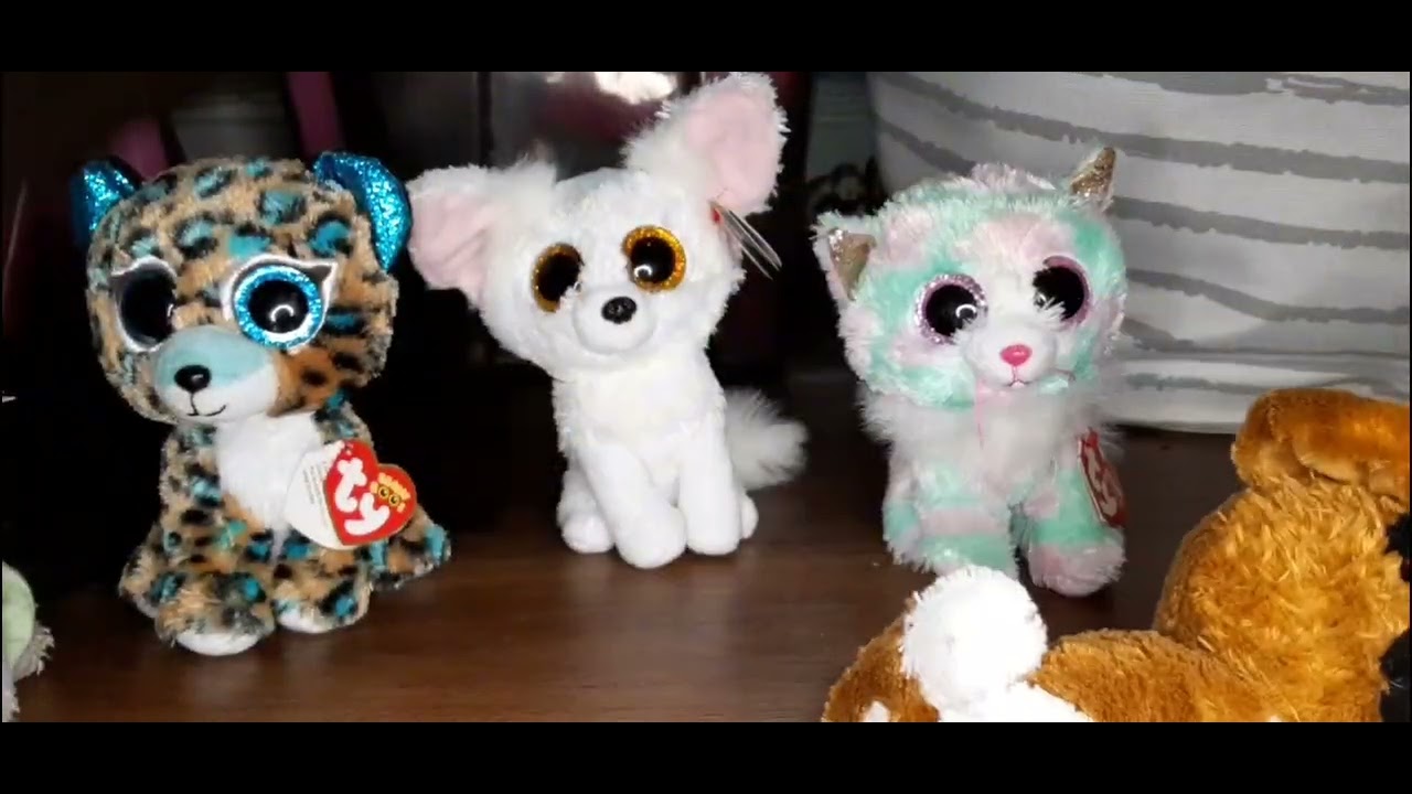 Time Of Our Lives Beanie Boo music video ( New Year special) - YouTube