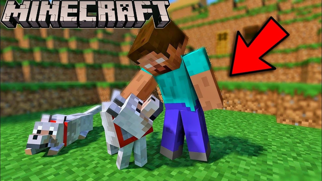 My New Pet Dog's in MINECRAFT!!!! MALAYALAM - YouTube